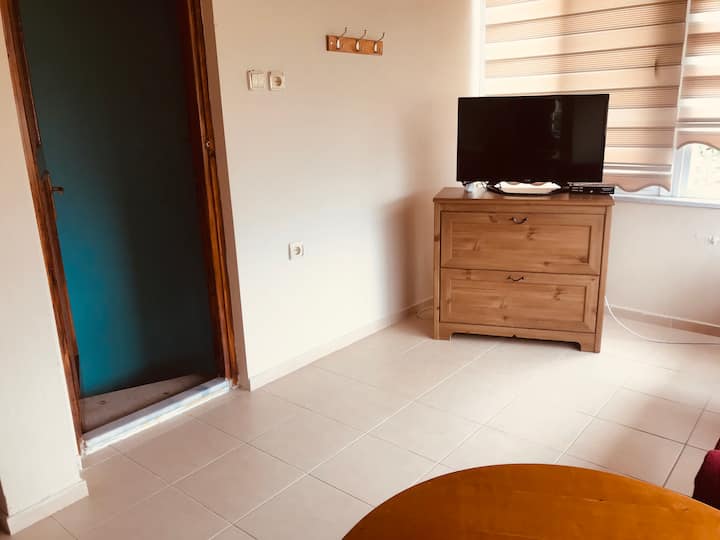 Denize 150 Metre ŞIrin Ev - Edremit