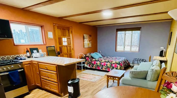 Fabulous Studio. Walk To Plaza. Ski, Shop, Eat. - Santa Fe