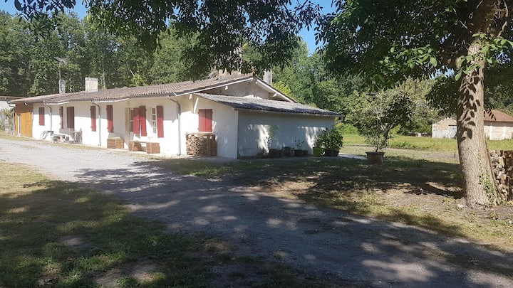 Ancienne Longère Atypique Au Calme. - Saint-Jean-d'Illac