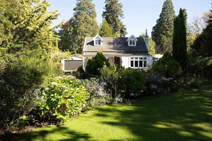 The Pines - New Zealand