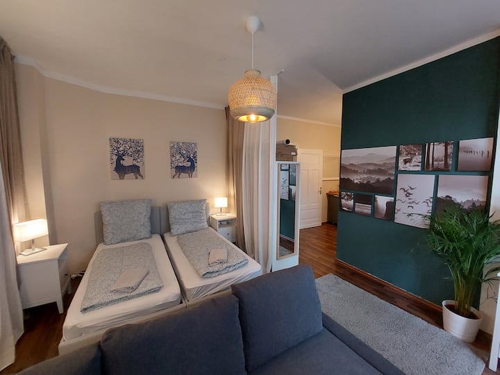 Modernes Apartment Mitten In Erfurt Inkl Parkplatz - Erfurt