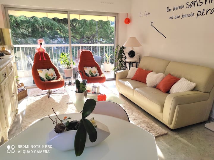 Cannes. Bel Appartement Avec Terrasse Et Parking - Le Cannet