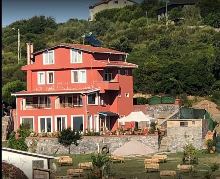 Arka Orman ÖNü Deniz Kuş Sesleri İçErisinde - Şile