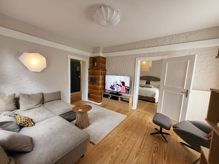 Beauiful, Spacious Apartment On Riverfront W/ Ac - 美因茲
