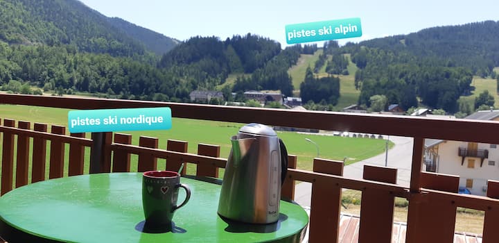 Vue Unique Montagnes Plein Sud-apt 6 Pers-ancelle - Ancelle