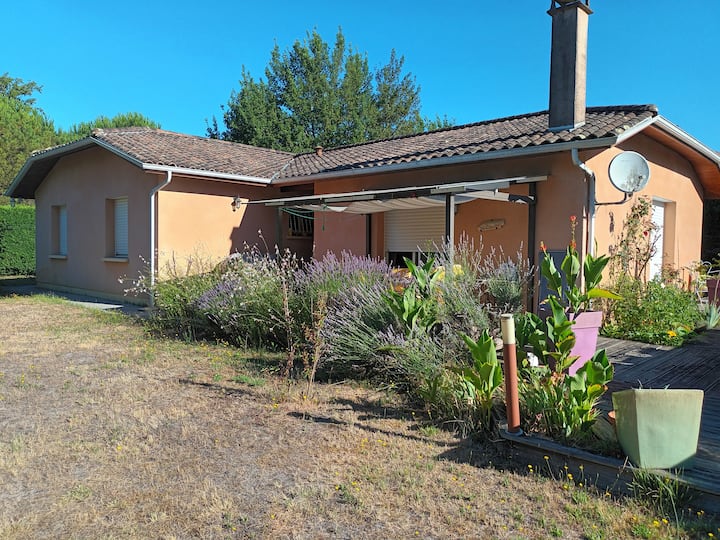Maison Avec Jardin 900m2 Et Piscine Hors Sol - Biganos
