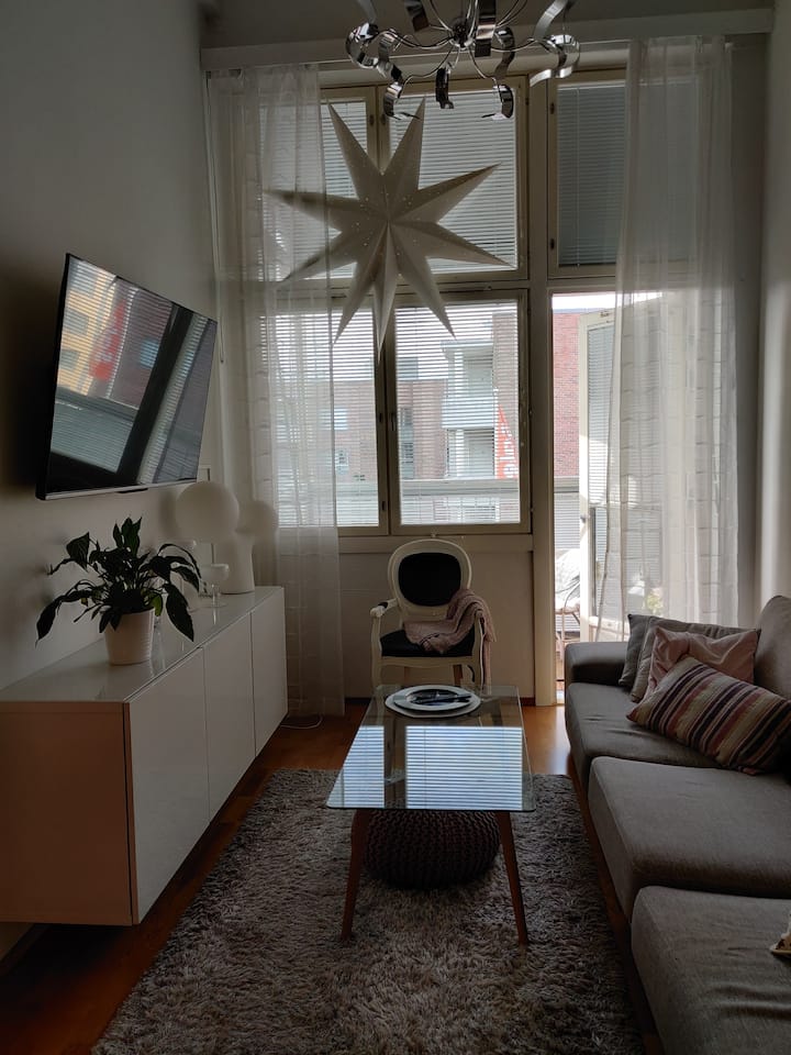 Loft Asunto 50m.aurajoesta!
Omalla Parkkipaikalla. - Turku