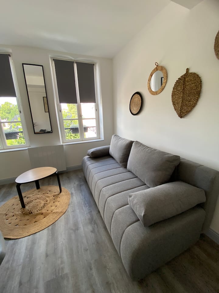 L'emile Zola : Appartement Duplex Hyper Centre - Saint-Quentin