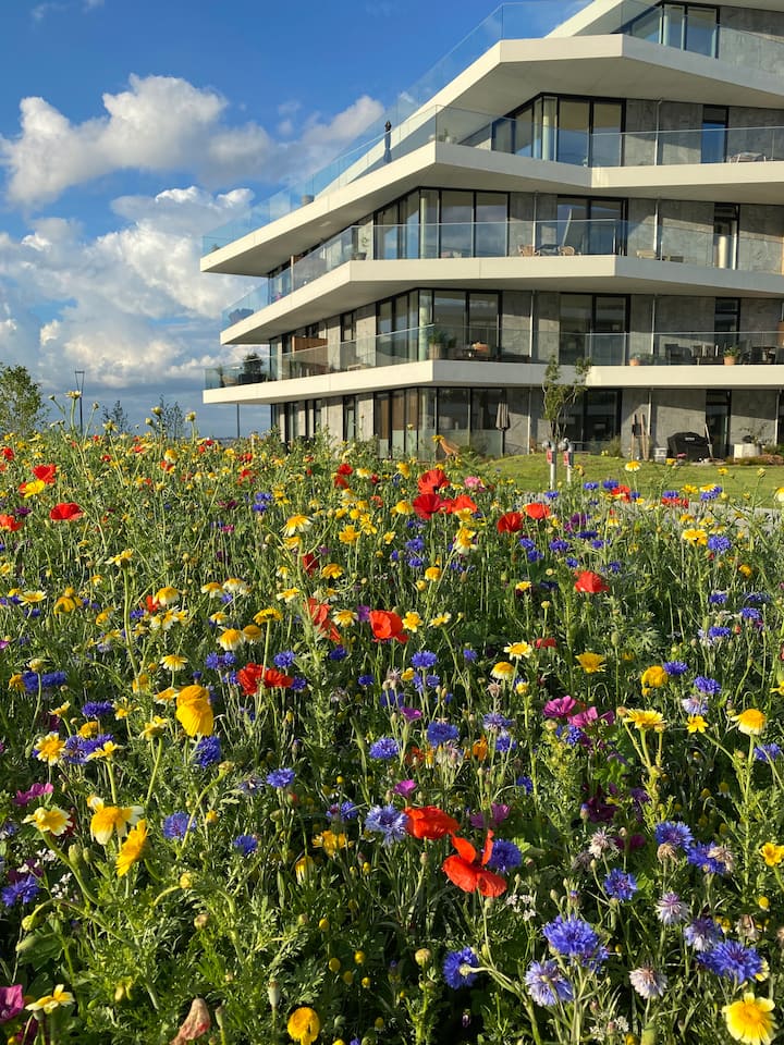 Skøn Stuelejlighed Aarhus C - Aarhus