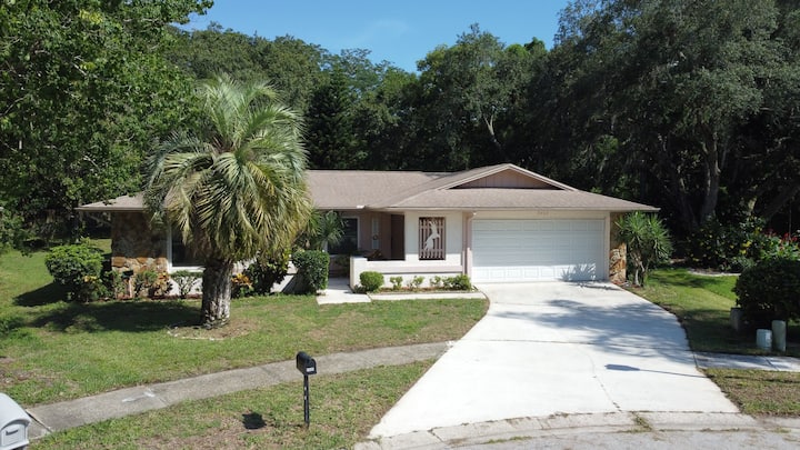 Blue Dolphin Privacy Paradise Screened Pool House - Palm Harbor