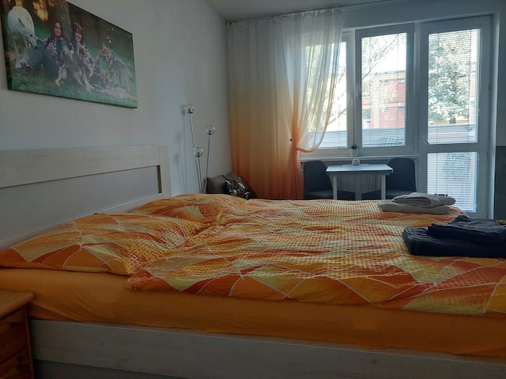 Garsonka Ostrava - Ostrava