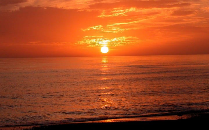 Siesta Key Beach 100 Feet From Romantic Unit! - Sarasota, FL