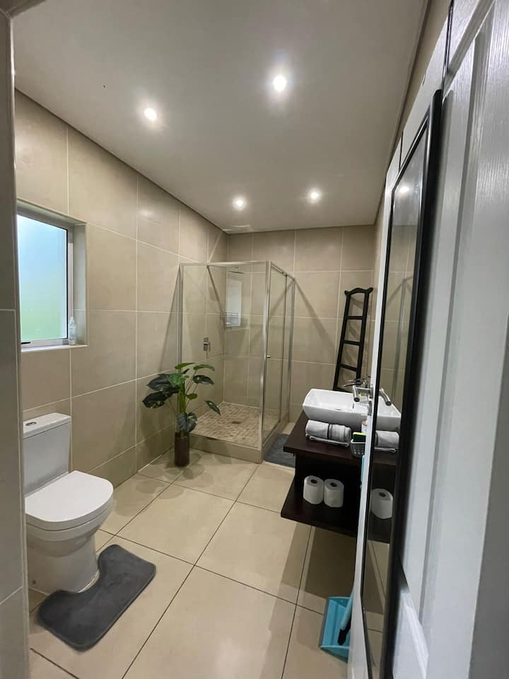 Wild Fig 3 - Pietermaritzburg