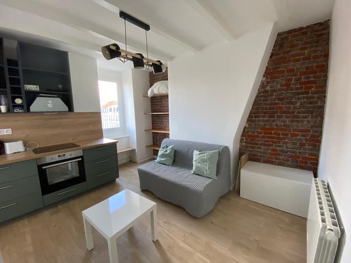 Charmant Duplex T3 Au Cœur De Sébastopol - ibis Lille Lomme Centre