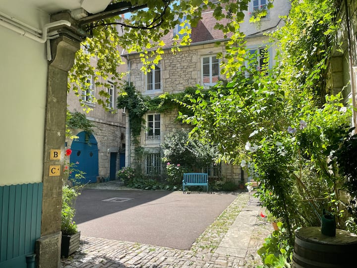 Besançon: Charmant Duplex Au Pied De La Citadelle - Besançon