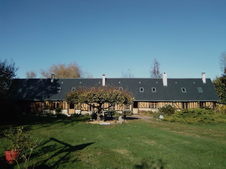 " Mise Au Vert " - Lisieux