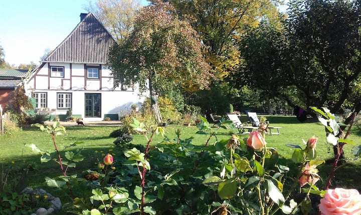Großzügige Wohnung Auf Pferdehof An Wald Und Seen - Malente