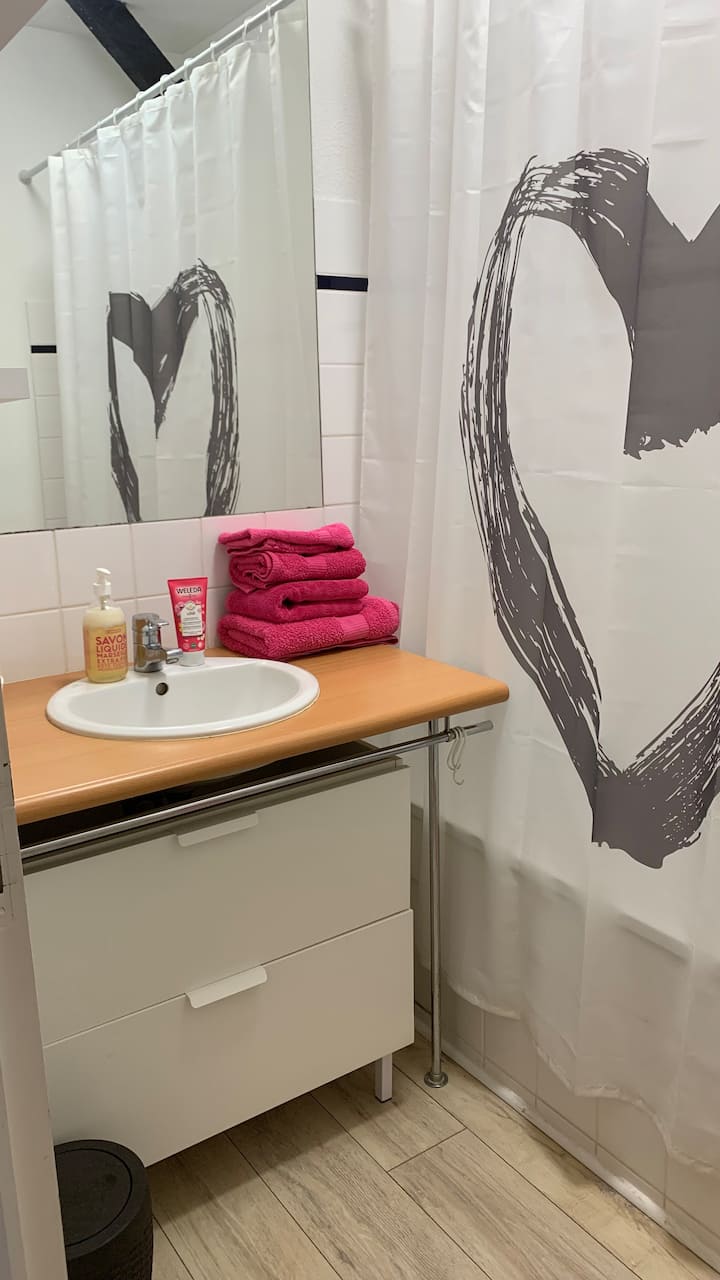 Rennes Thabor Appartement Duplex - Rennes