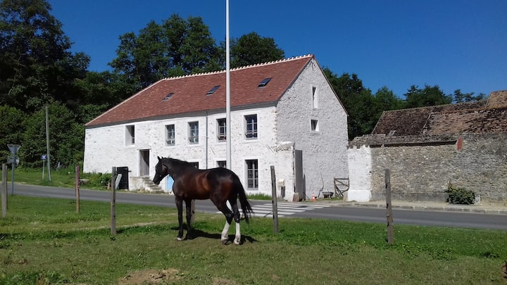 Gîte 10 Couchages Dans Corps De Ferme - Chevreuse
