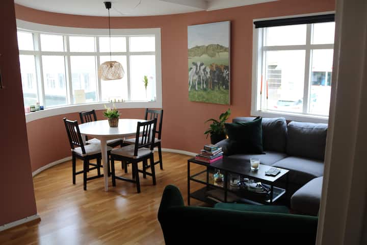 Beautiful Flat In The Central Of Reykjavík - Reykjavik