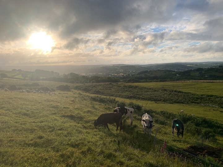 Lovely Almost Wild Campsite - Lampeter