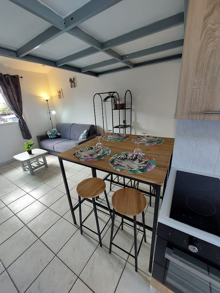 "Le Ti Papangue" Studio Neuf Entièrement Rénové - Saint-Pierre