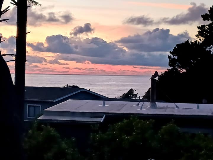 No Bad Days-pet Friendly, Ocean View W/fireplace - Depoe Bay, OR