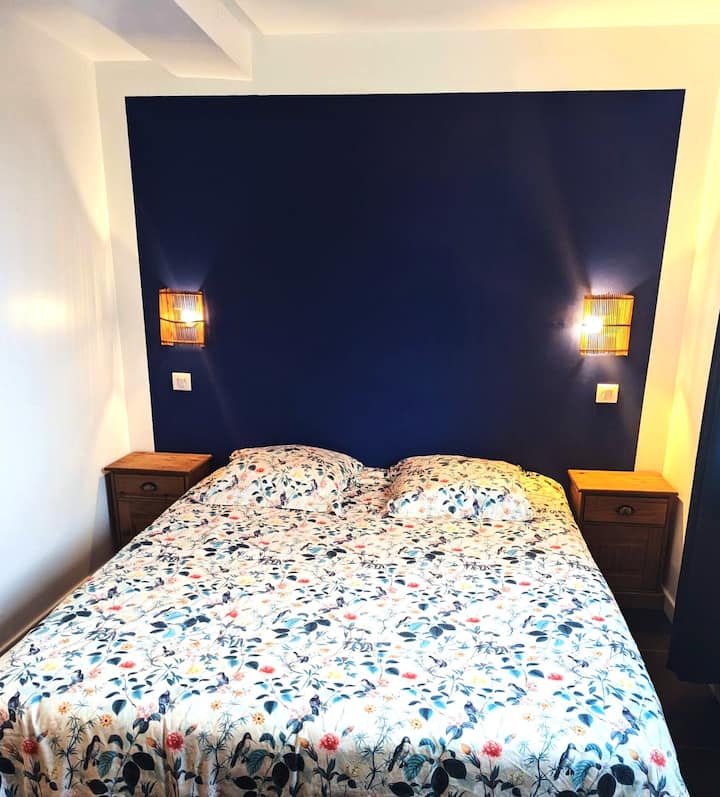 Calme Et Joli T2 à Toulouse - Toulouse