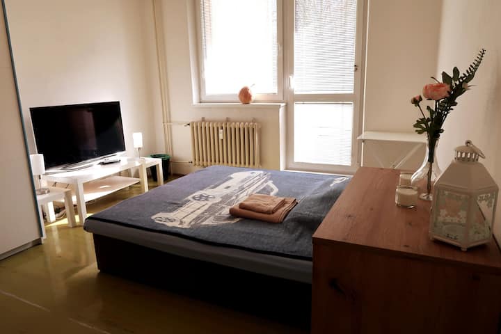 Apartment Near The City Center - Brno