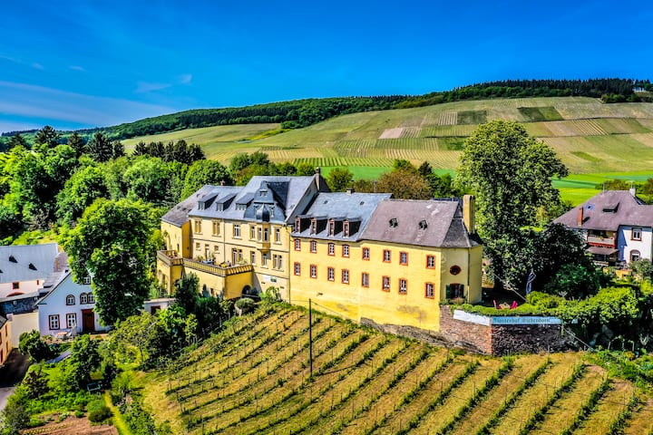 Erden Vacation Rentals & Homes - Rhineland-Palatinate, Germany | Airbnb