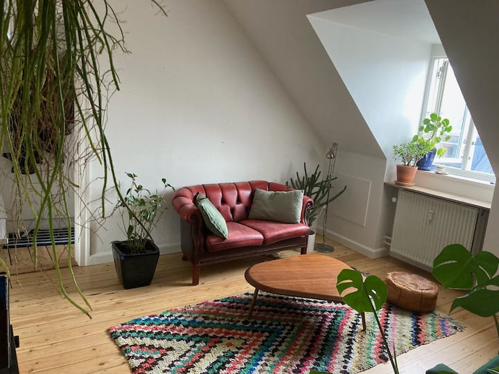 Cosy Room In The Center Of Vesterbro - Copenhague
