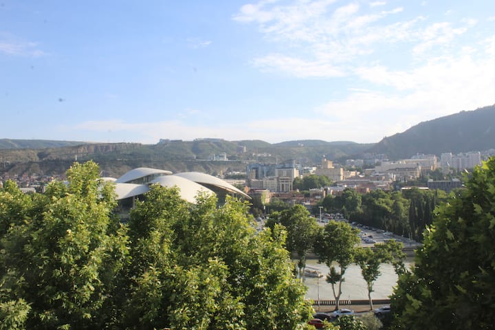 Flat In The Centre Of Tbilisi - Tbilisi