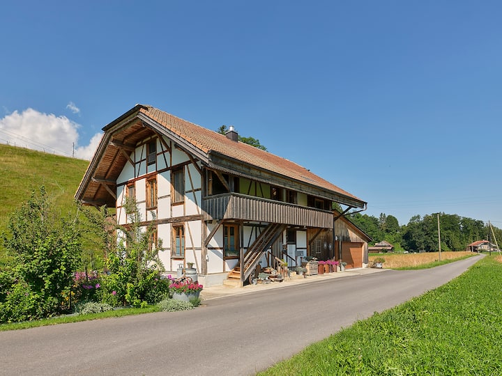 Wohnung In Zwieselberg - Thun