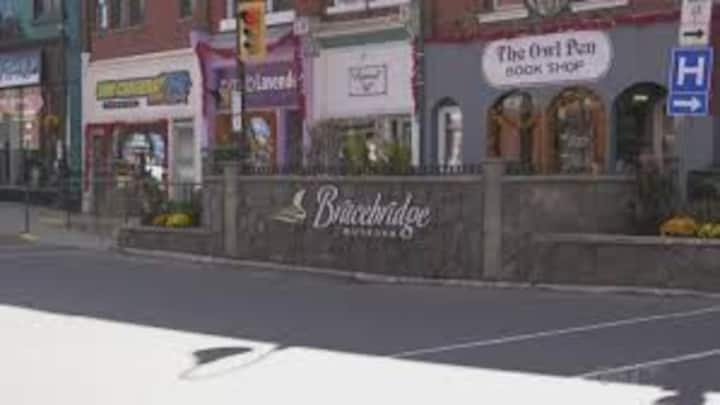 Cozy 1 Bedroom Dewey Unit 203 - Bracebridge