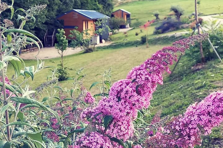 Tiny House A 38m² Spa Et Terrasse Suspendue - Lac du Crescent