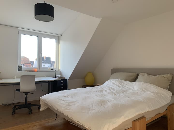 Gästezimmer Mit Eigenem Bad - Heidelberg