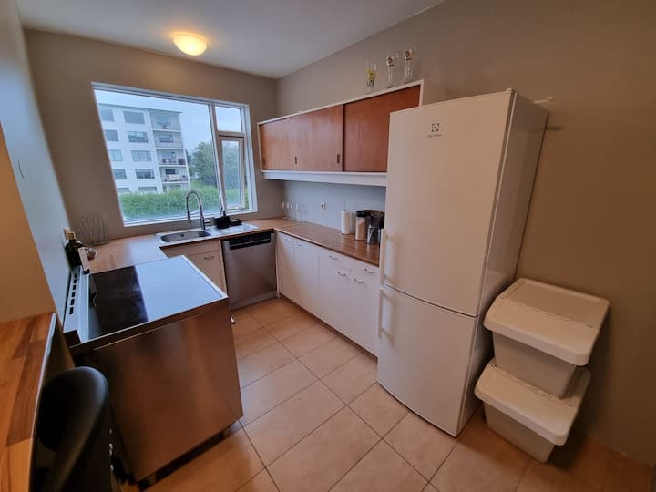 2-room Apartment, Free Parking And Fast Internet - Iceland
