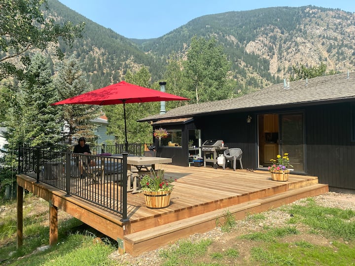 Large Mountain House, (Pre-approved) Dog Friendly - Georgetown, CO