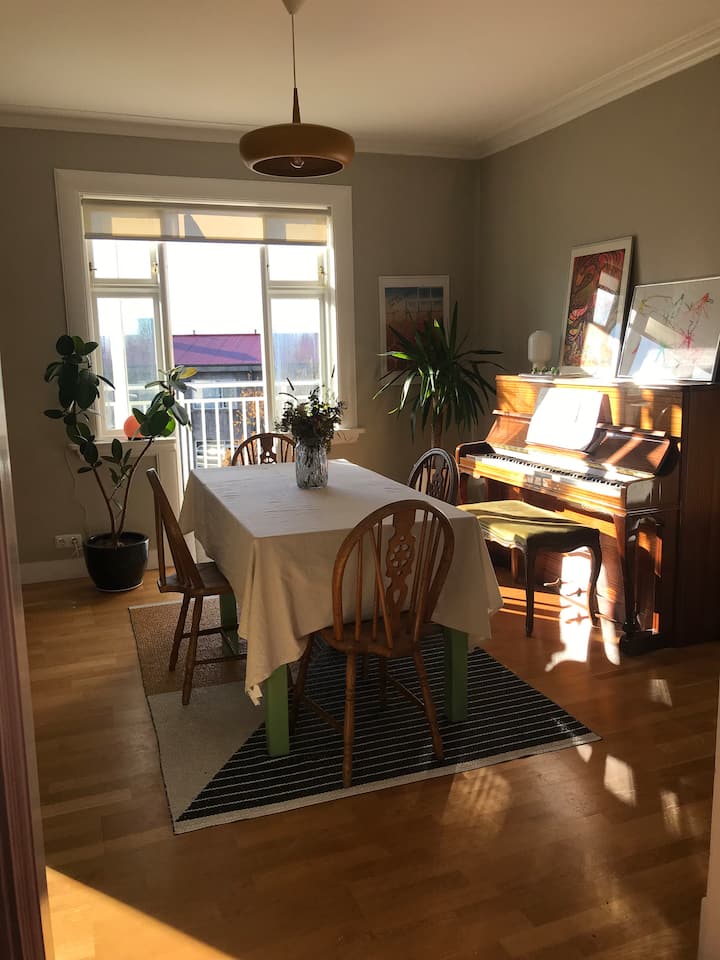 Beautiful Central Apartment In A Lovely Area - Reykjavík