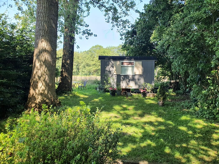 Gezellig Tiny House/pipowagen
In De Natuur. - Zutphen