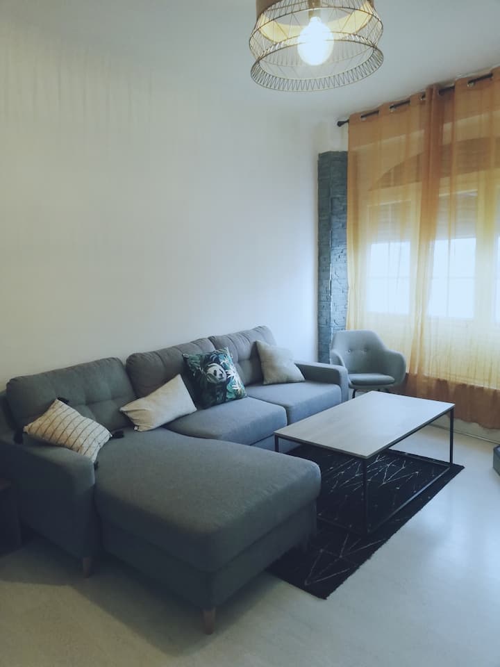 Hasparren Appartement Centre Ville - Hasparren