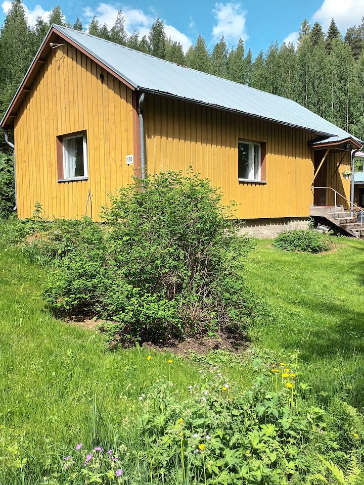 Vaarintalo Tallivirran Rannalla - Suonenjoki