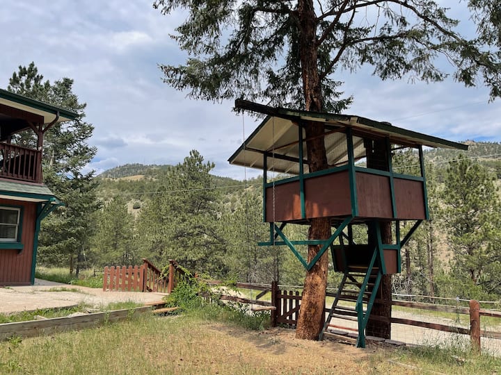 Private 4 Bedroom Cabin W/ Fireplace, & Treehouse. - Idaho Springs, CO