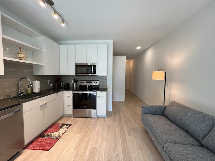 Modern 1br Lightrail, Parks, Msp - Minneapolis, MN