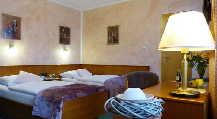 Hotel Wurms - Standard Junior Suite. - Düsseldorf