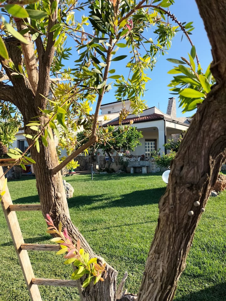 Villa Vigiò
Cis:ba07203591000028712 - Mola di Bari