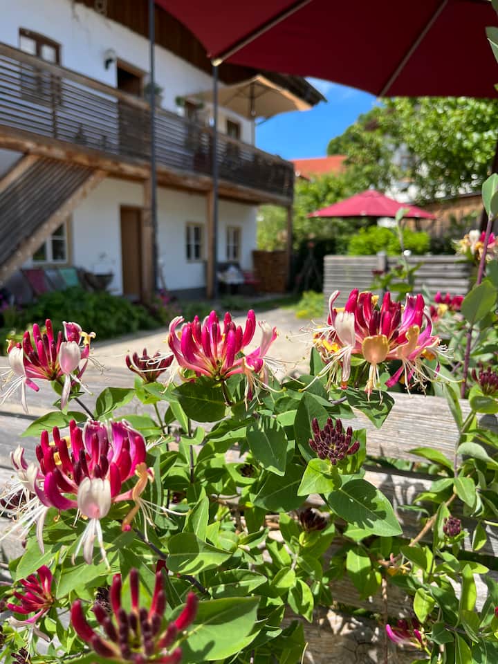 Urlaub Auf Dem "Haisnhof" In Oberbayern - Rosenheim