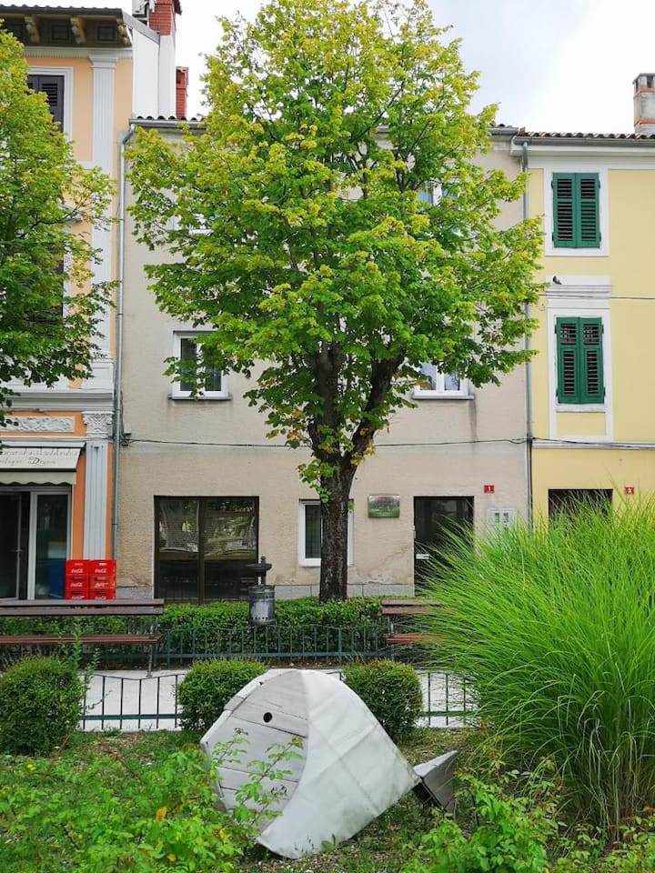 Apartma Fani 2 - Izola