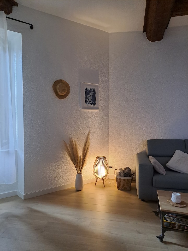 Appartement Cosy Pont Du Diable - Céret