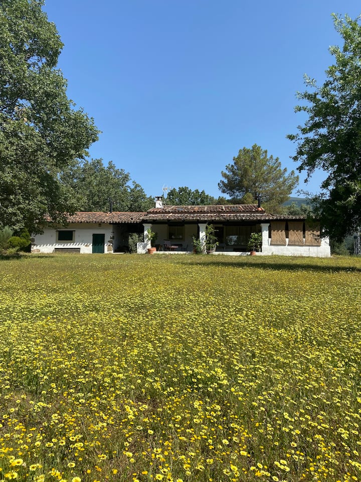 Casa Con Mucho Encanto En El Campo - Candeleda